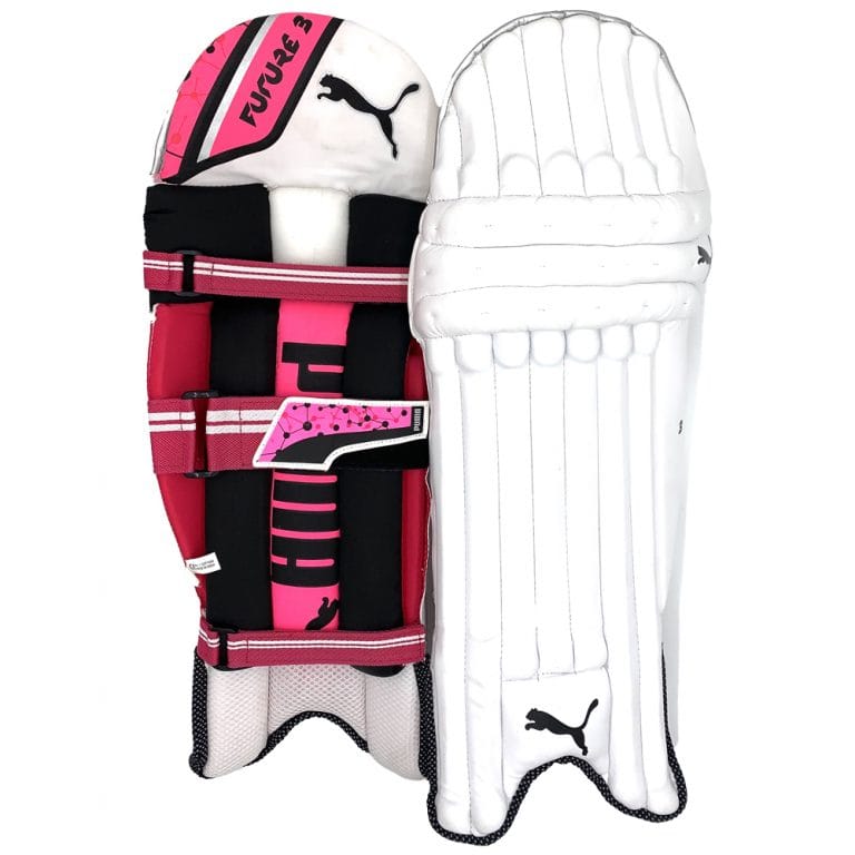 PUMA FUTURE 20.3 PADS - Cricket Company