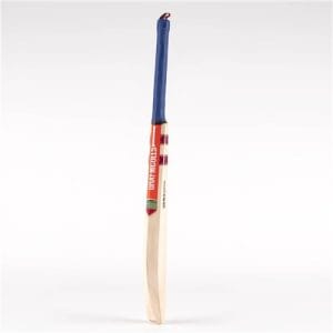 GN TECHNIQUE BAT - Cricket Company